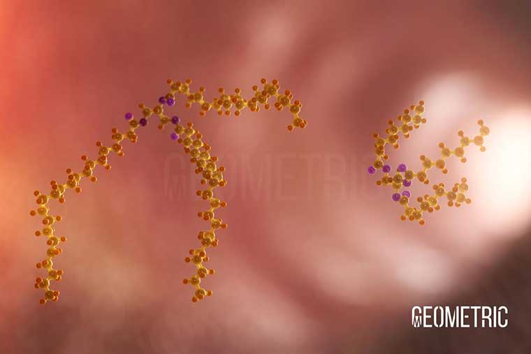 Pancreatic Enzymes Animation | Geometric Medical