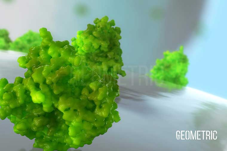 Pancreatic Enzymes Animation | Geometric Medical